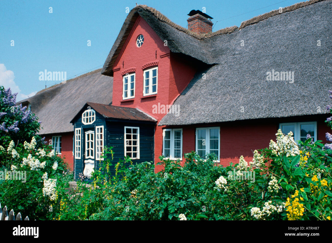 Reed houses hi-res stock photography and images - Alamy