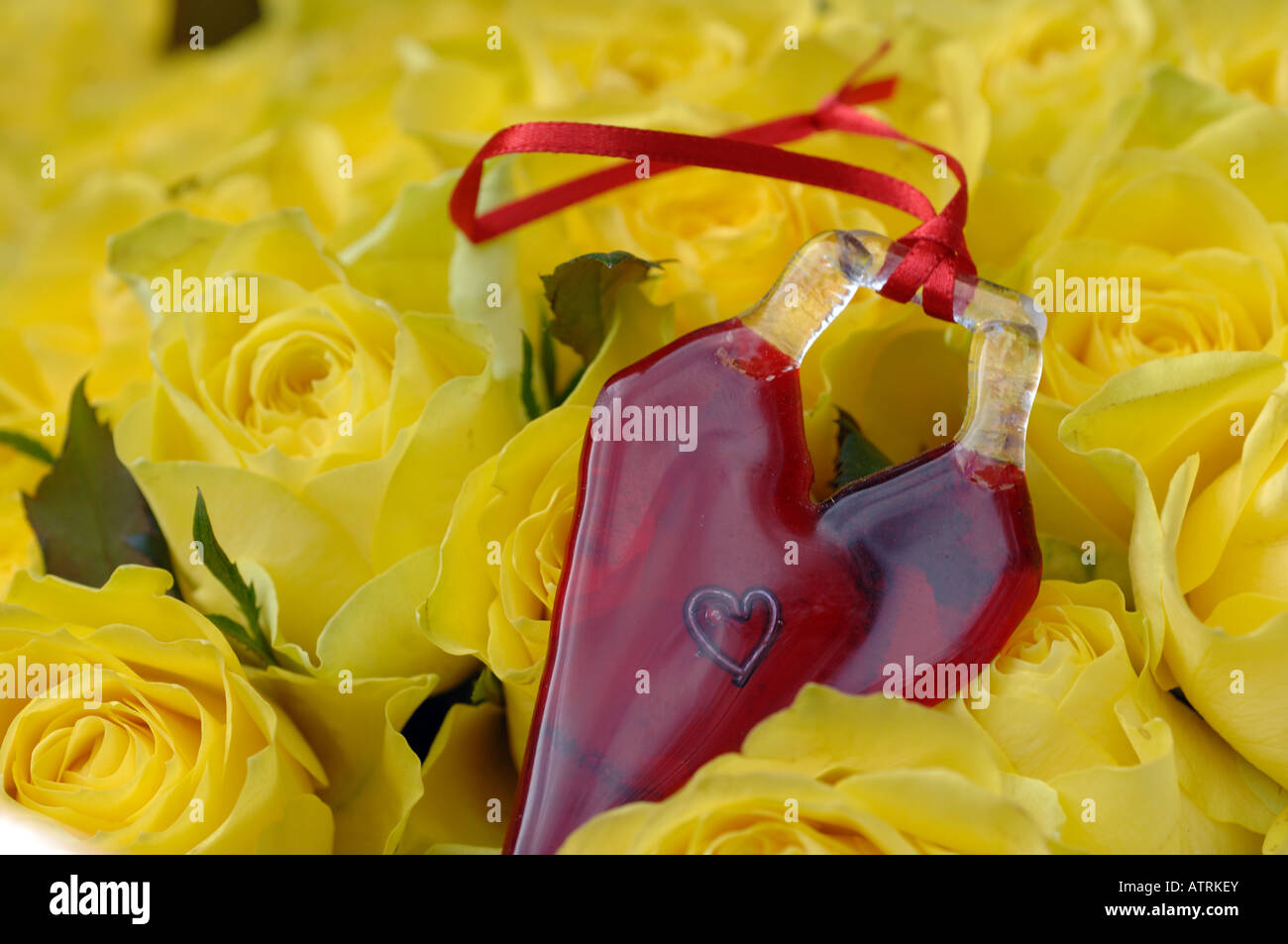 Glass rose petals ribbon hi-res stock photography and images - Alamy