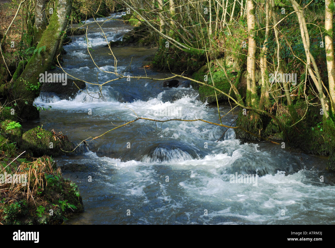 Moorland stream on Exmoor Stock Photo - Alamy