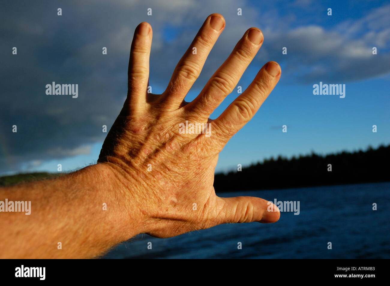 Back of Hand against open blue sky Stock Photo - Alamy