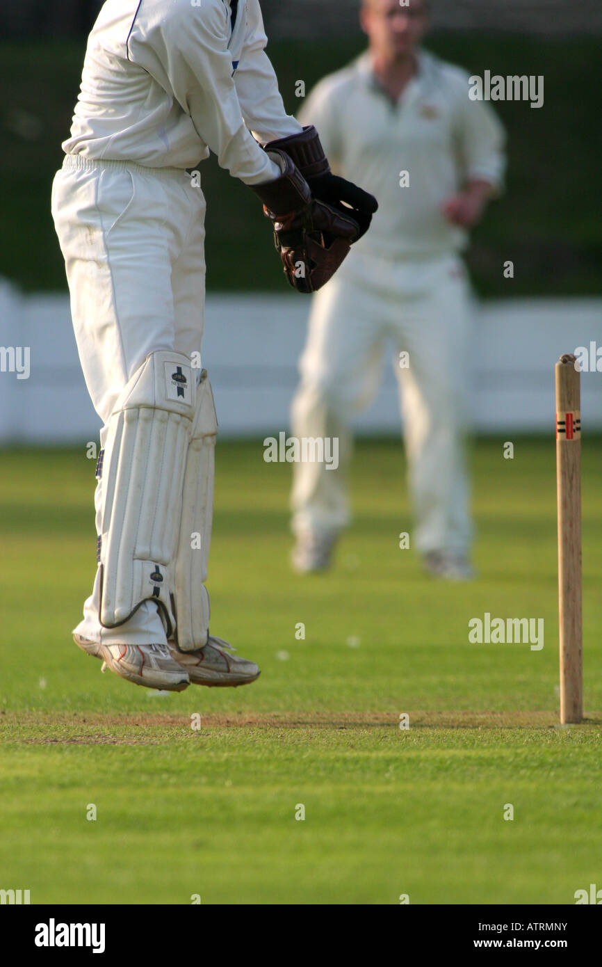 Whicket keeper jumping Stock Photo - Alamy