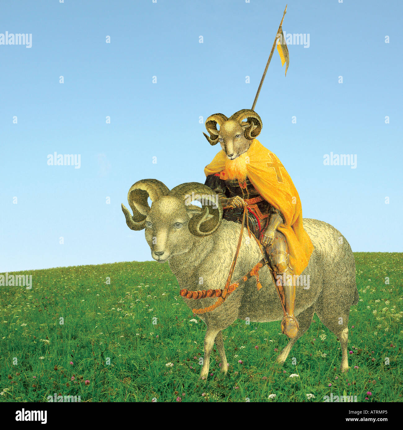 Aries pictures hi-res stock photography and images - Alamy