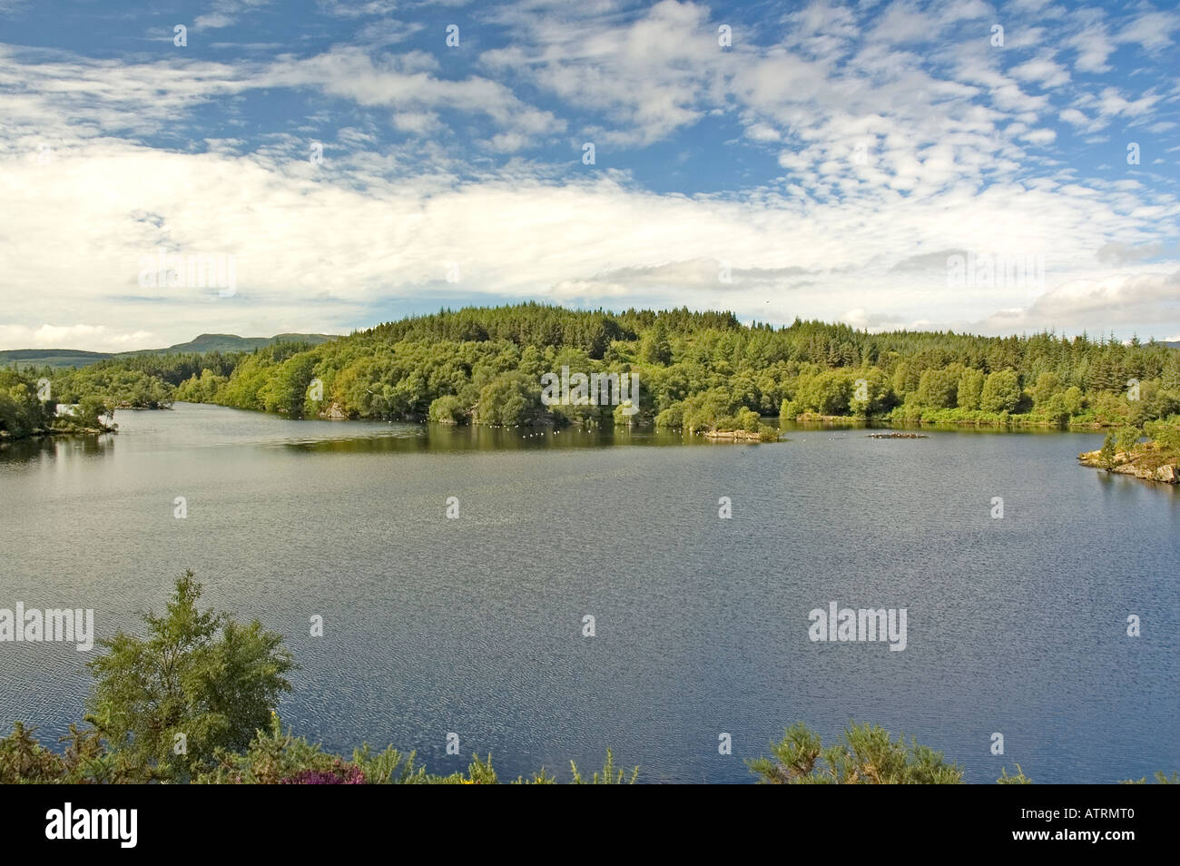 Elsi hi-res stock photography and images - Alamy