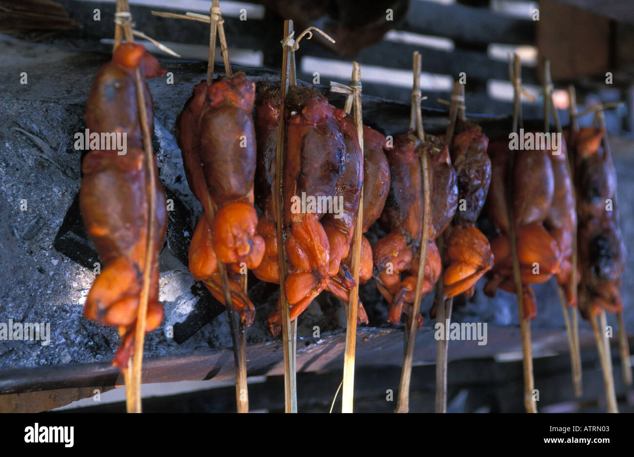 Selling roasted frogs Stock Photo - Alamy
