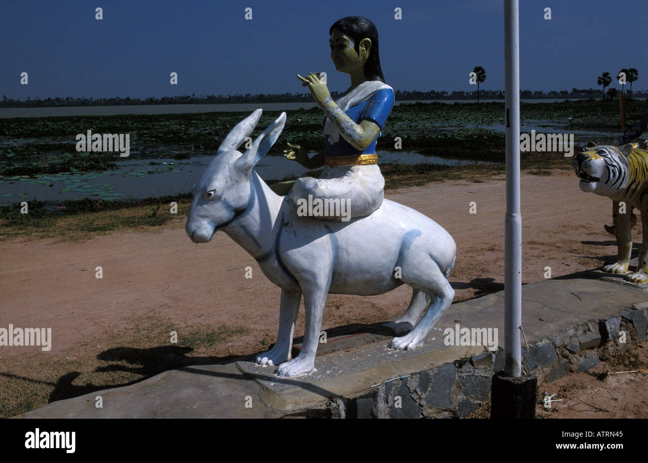 The rabbit sign of the Chinese Zodiac Stock Photo - Alamy