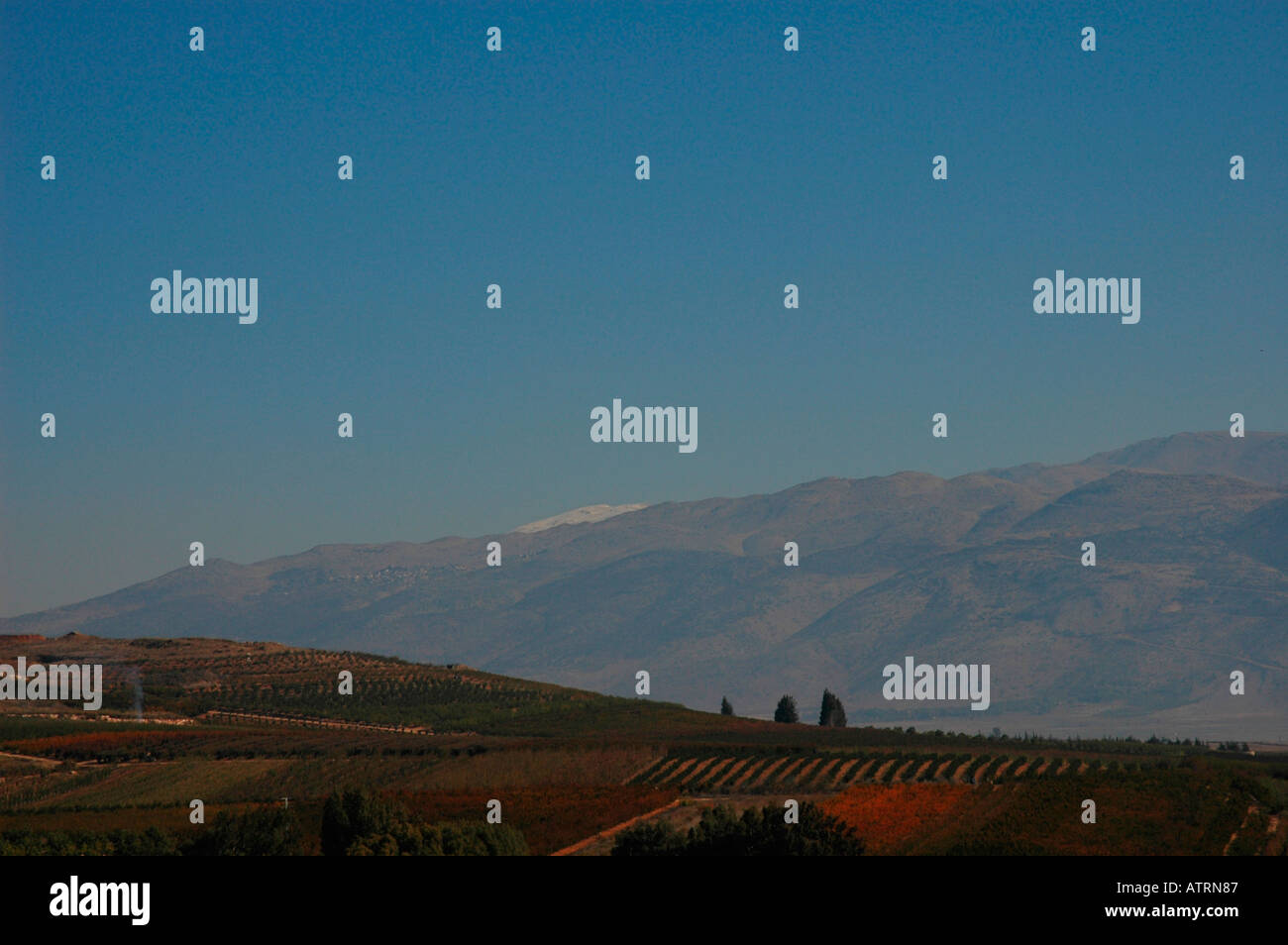 Landscape in the upper Galilee Northern part of Israel Stock Photo - Alamy