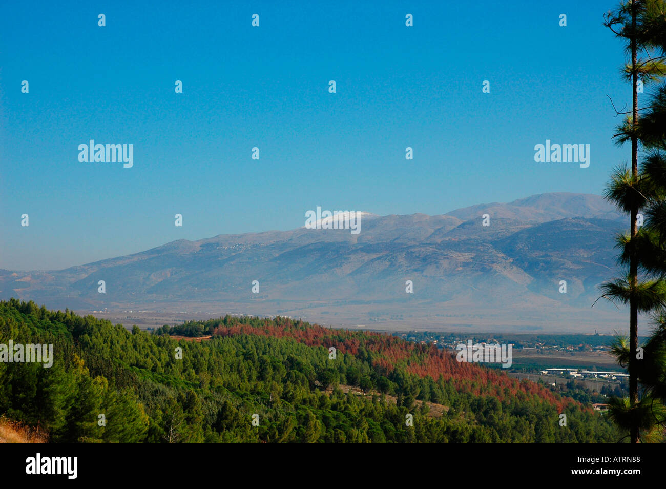 Landscape in the upper Galilee Northern part of Israel Stock Photo - Alamy