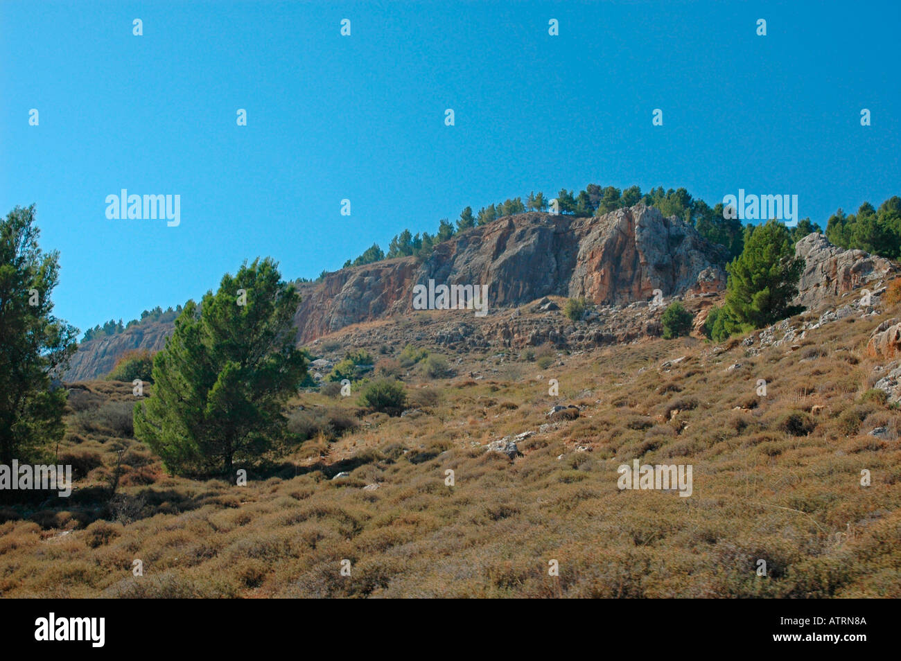 Landscape in the upper Galilee Northern part of Israel Stock Photo - Alamy