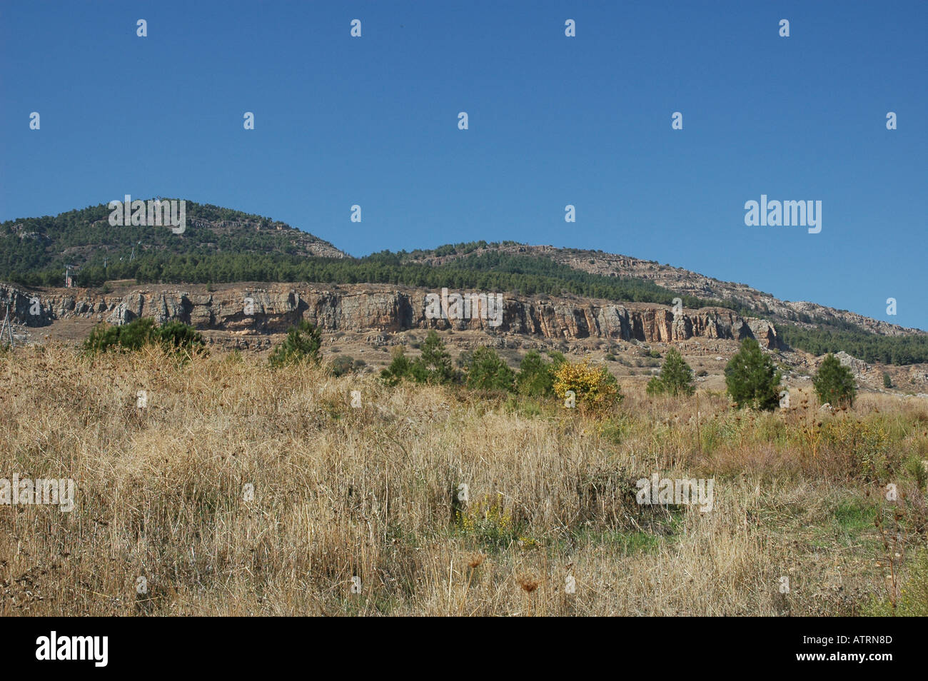 Landscape in the upper Galilee Northern part of Israel A view of the ...