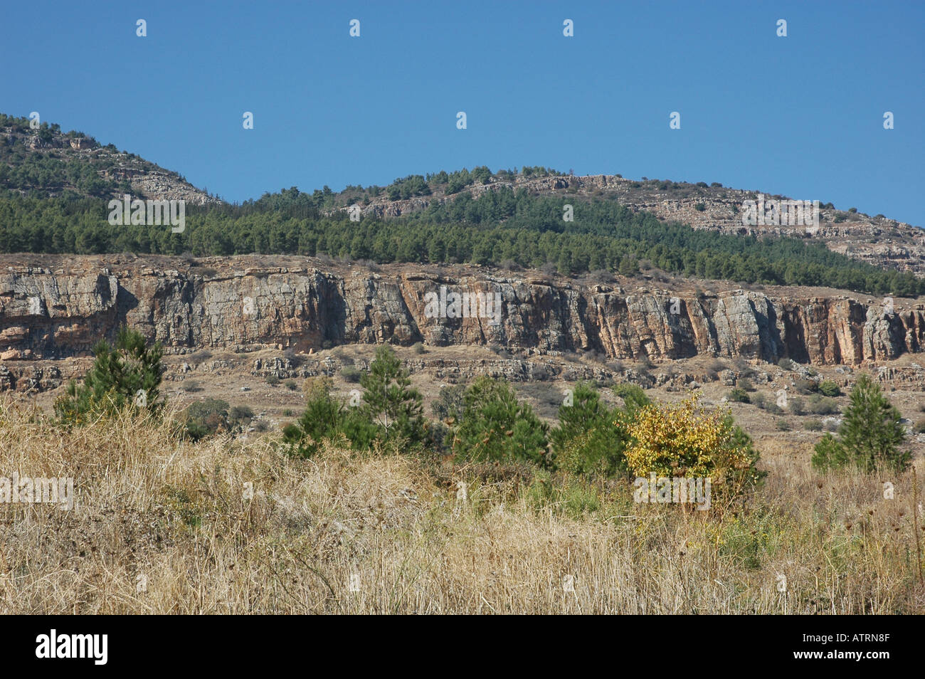 Landscape in the upper Galilee Northern part of Israel A view of the ...