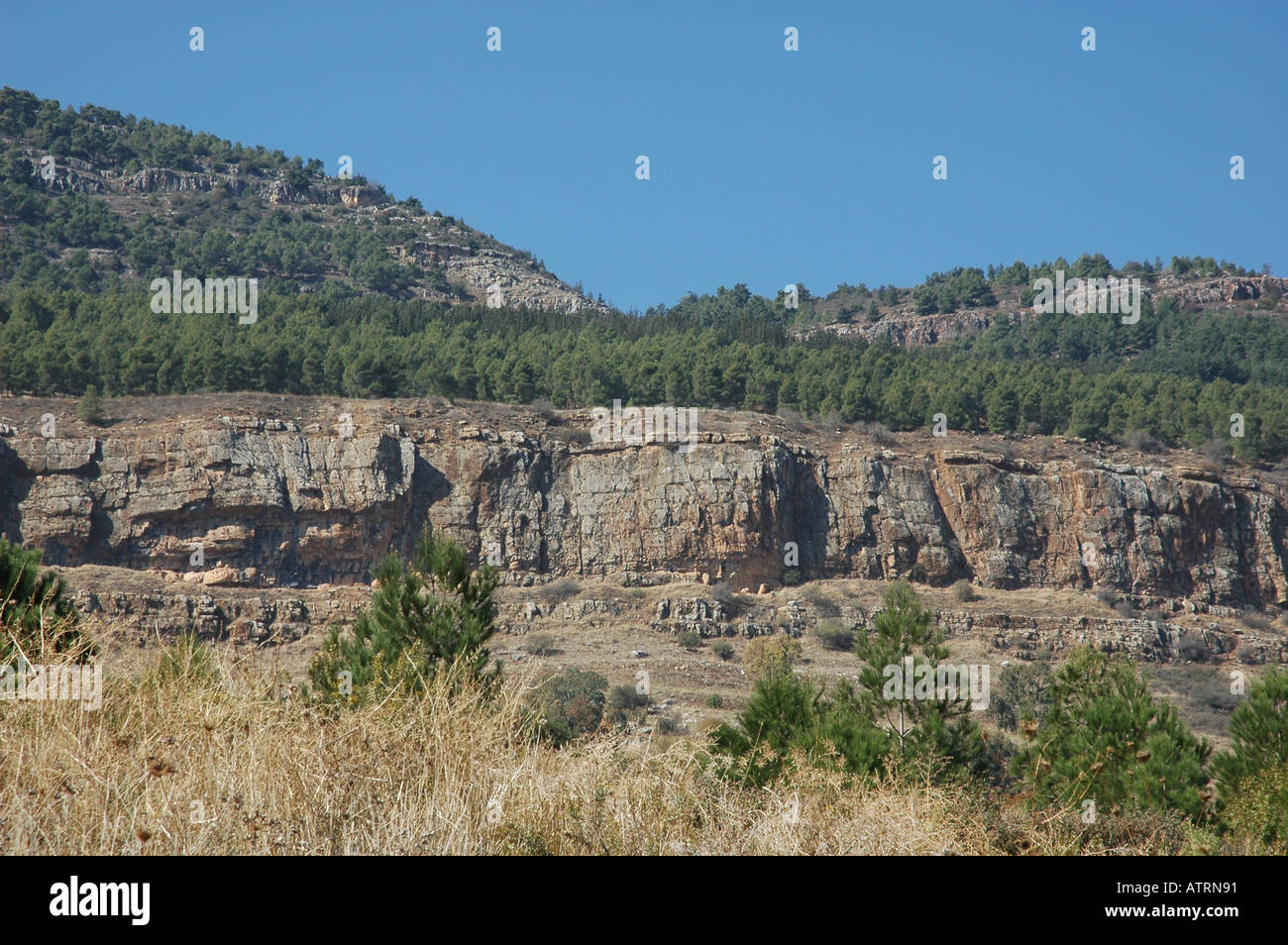Landscape in the upper Galilee Northern part of Israel A view of the ...