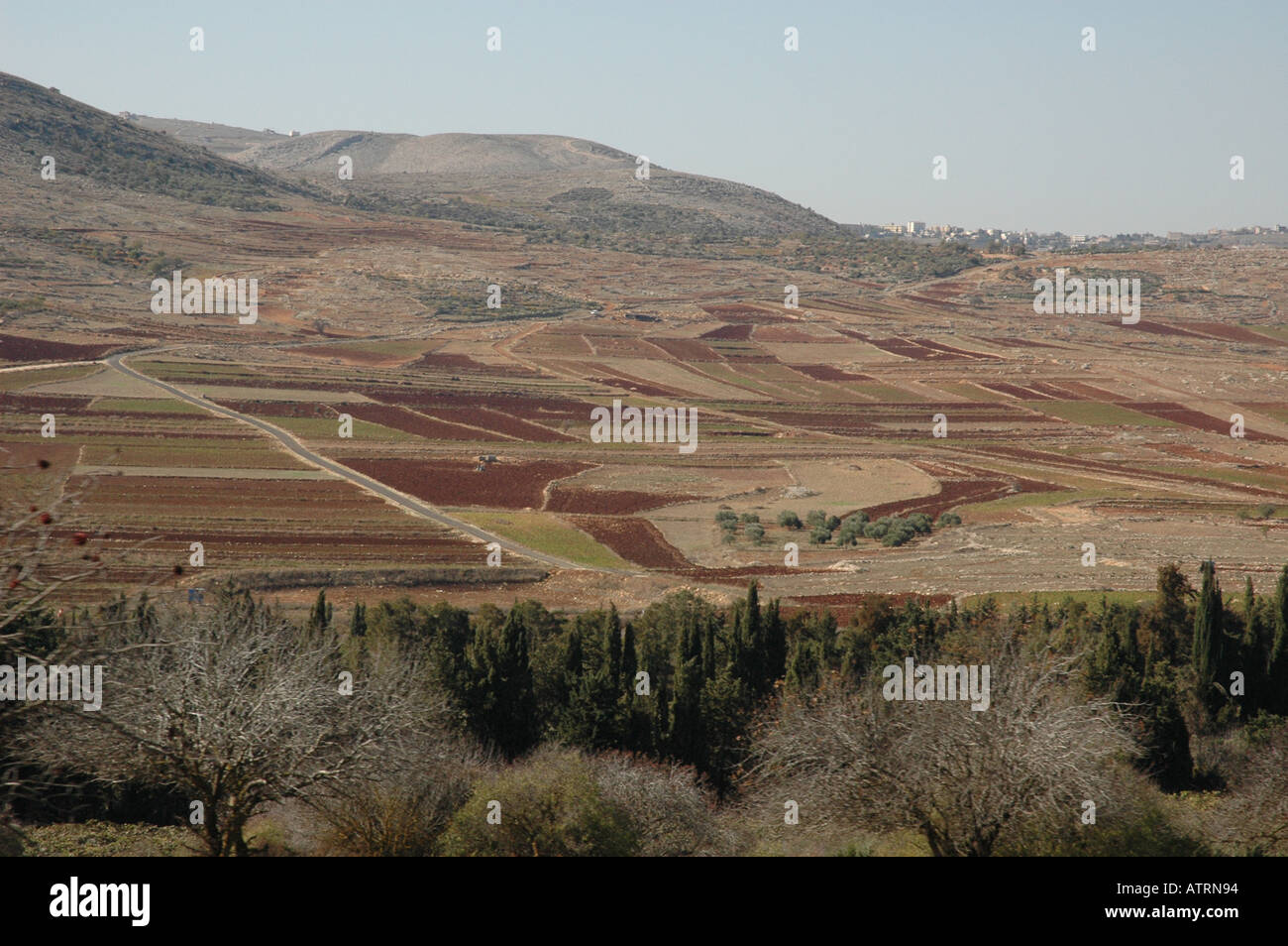 Landscape in the upper Galilee Northern part of Israel Stock Photo - Alamy