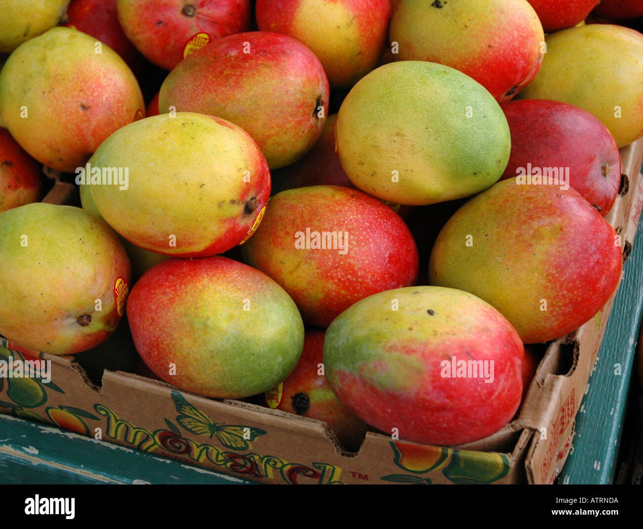 Box of mangos hi-res stock photography and images - Alamy