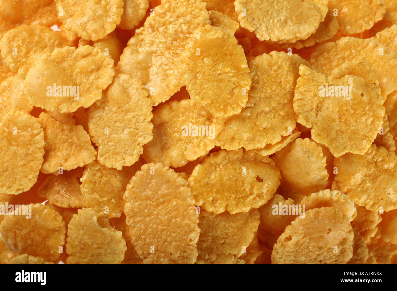 flake corn group isolated on white background Stock Photo - Alamy