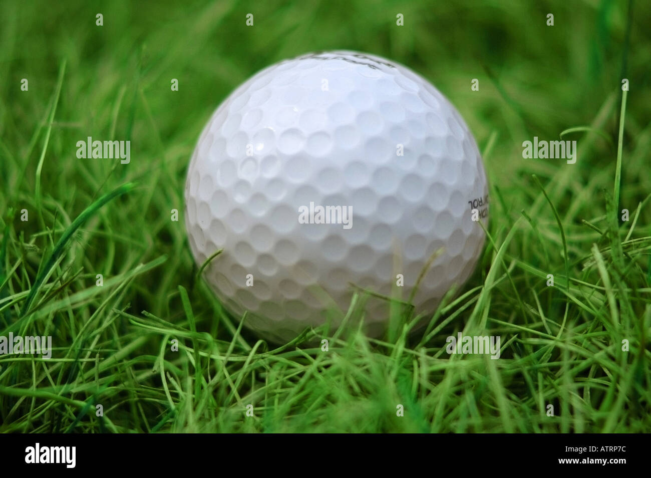 Golf Ball in the Rough Stock Photo - Alamy