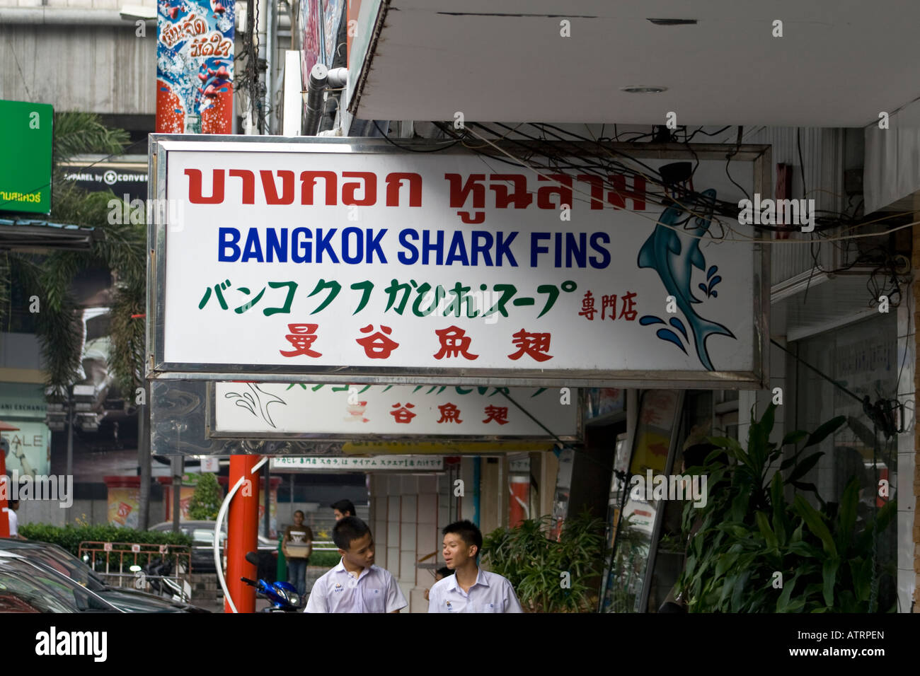 Sharks fins for soup hi-res stock photography and images - Alamy