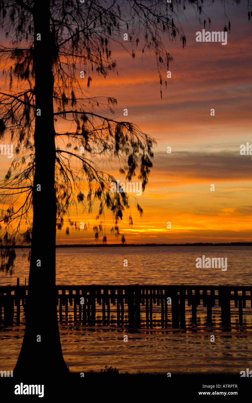 Central florida hi-res stock photography and images - Alamy