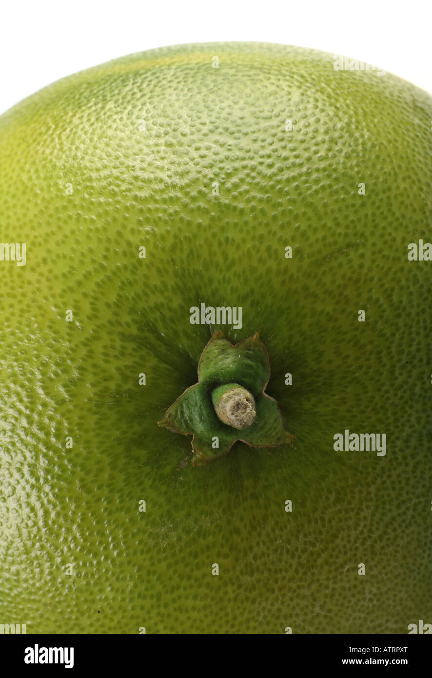 Pomelo green fruit closeup skin texture on white Stock Photo - Alamy