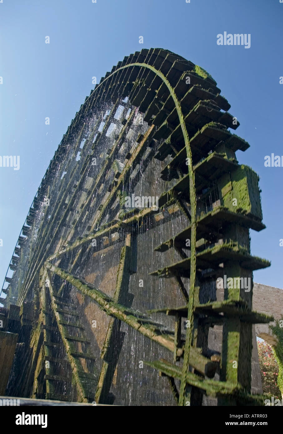 Giant wooden water wheel, Noria, on the Orontes River, Hama, Syria ...