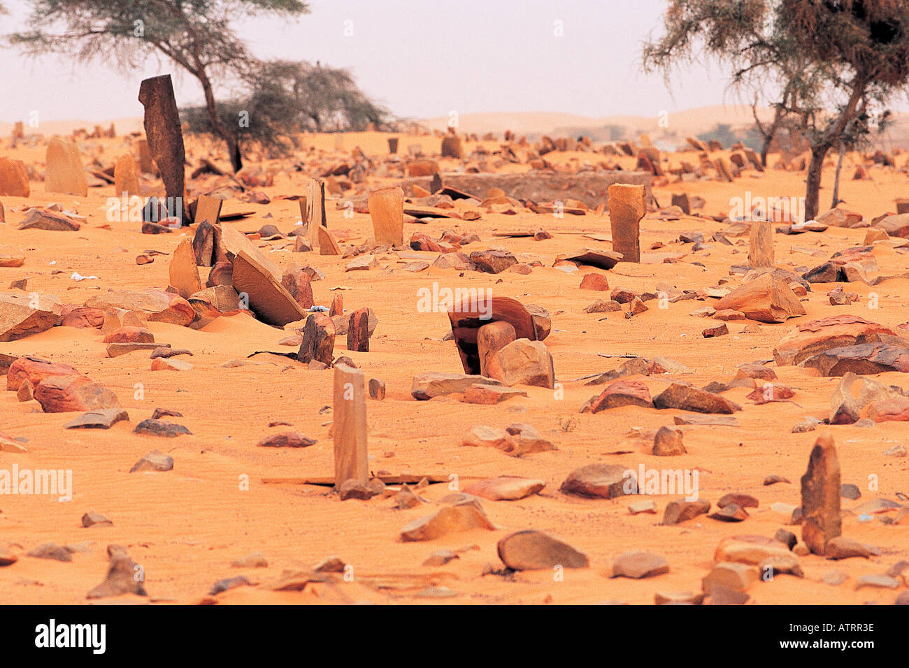 Chinguetti mauritania mosque hi-res stock photography and images - Alamy