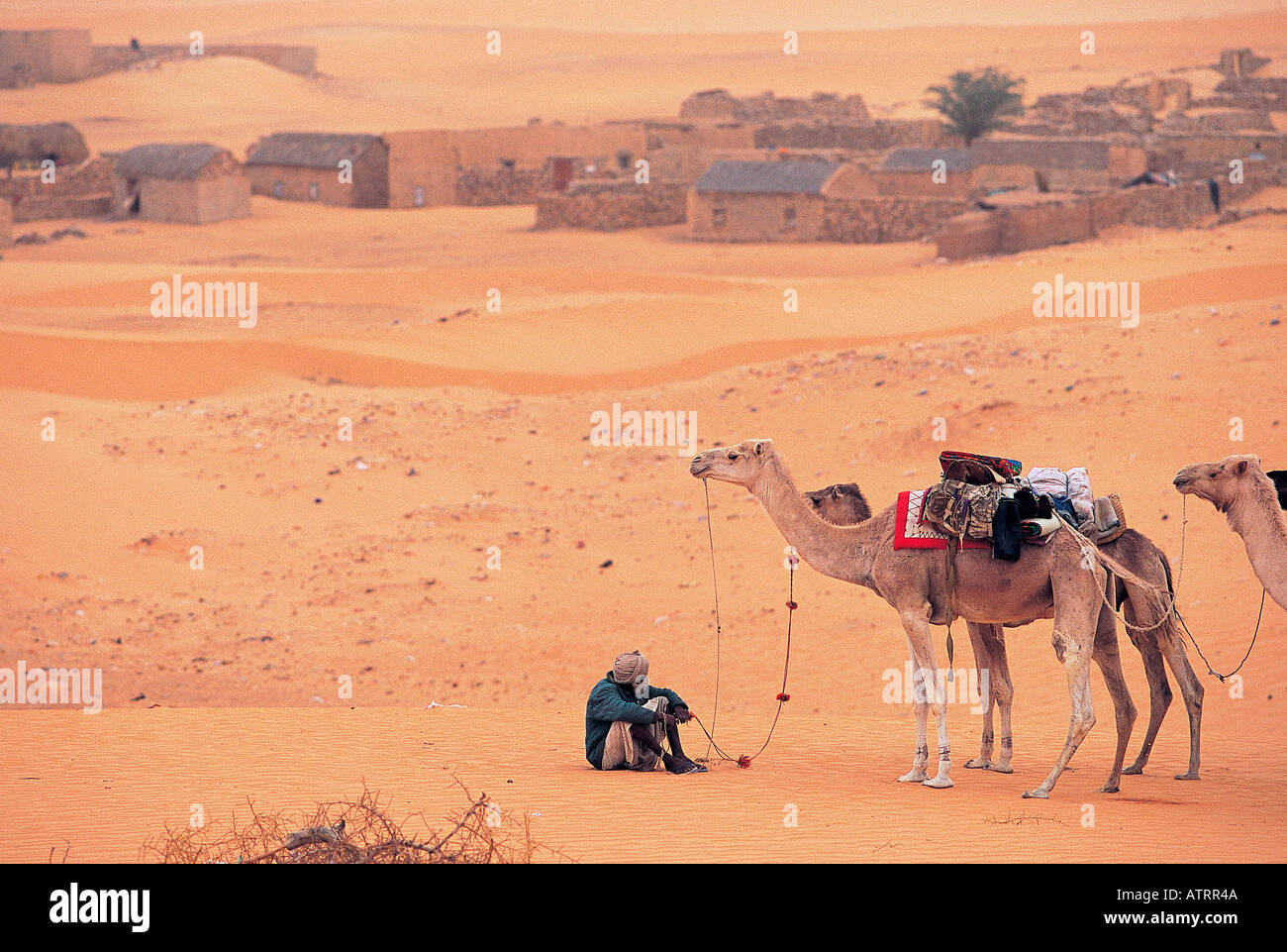 Chinguetti backstreets swamped by sand Mauritania Stock Photo - Alamy