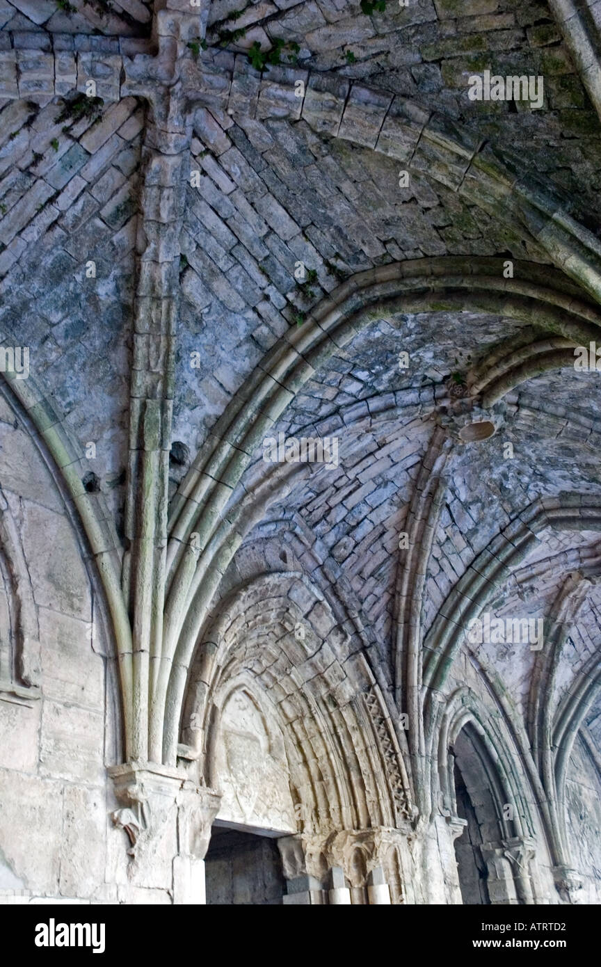 High vaulted gothic style arched ceilings and stone doorways, Crac des ...