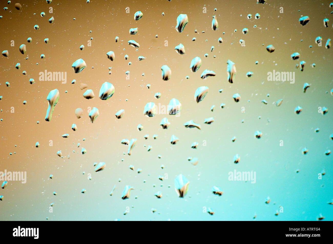 Water drops on a glass window Stock Photo - Alamy