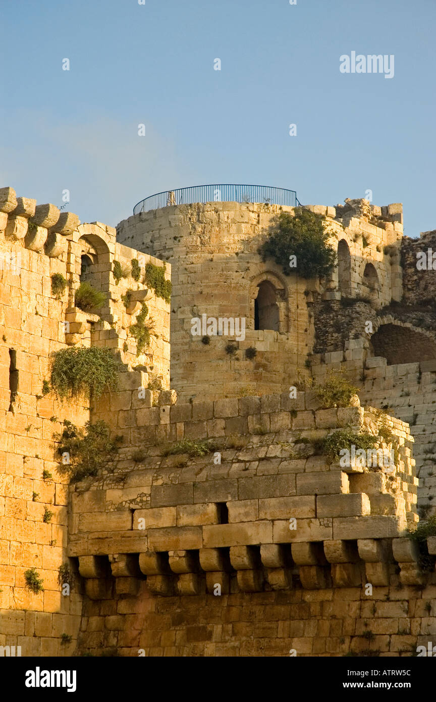 Massive towering walls and ramparts in the early morning sunlight, Crac ...