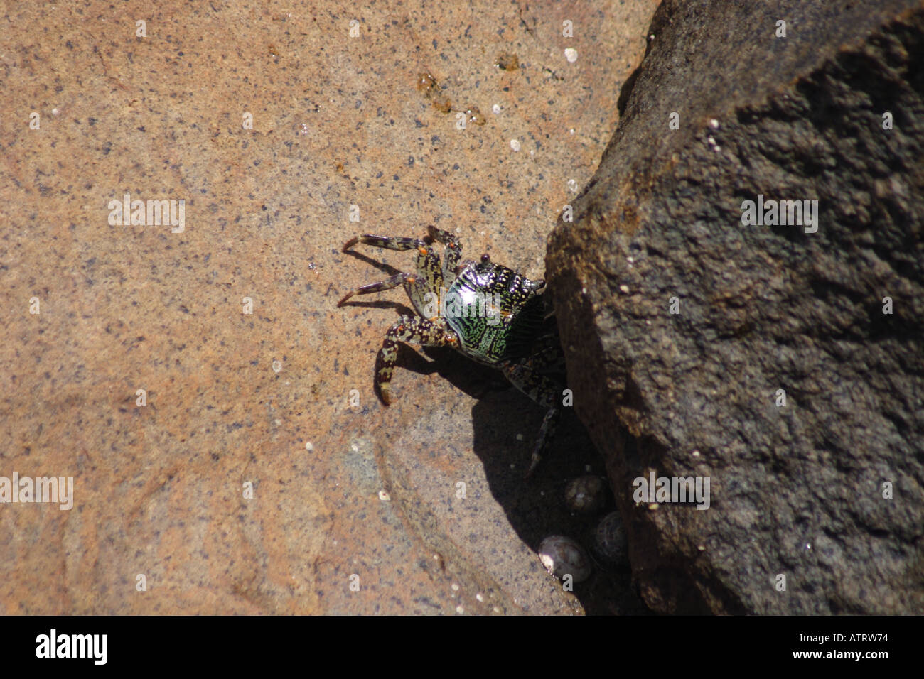 Underwater rock running hi-res stock photography and images - Alamy