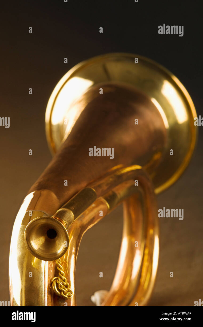 Close-up of a bugle Stock Photo - Alamy