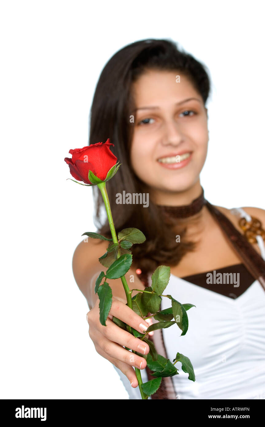 Rose pics hi-res stock photography and images - Alamy