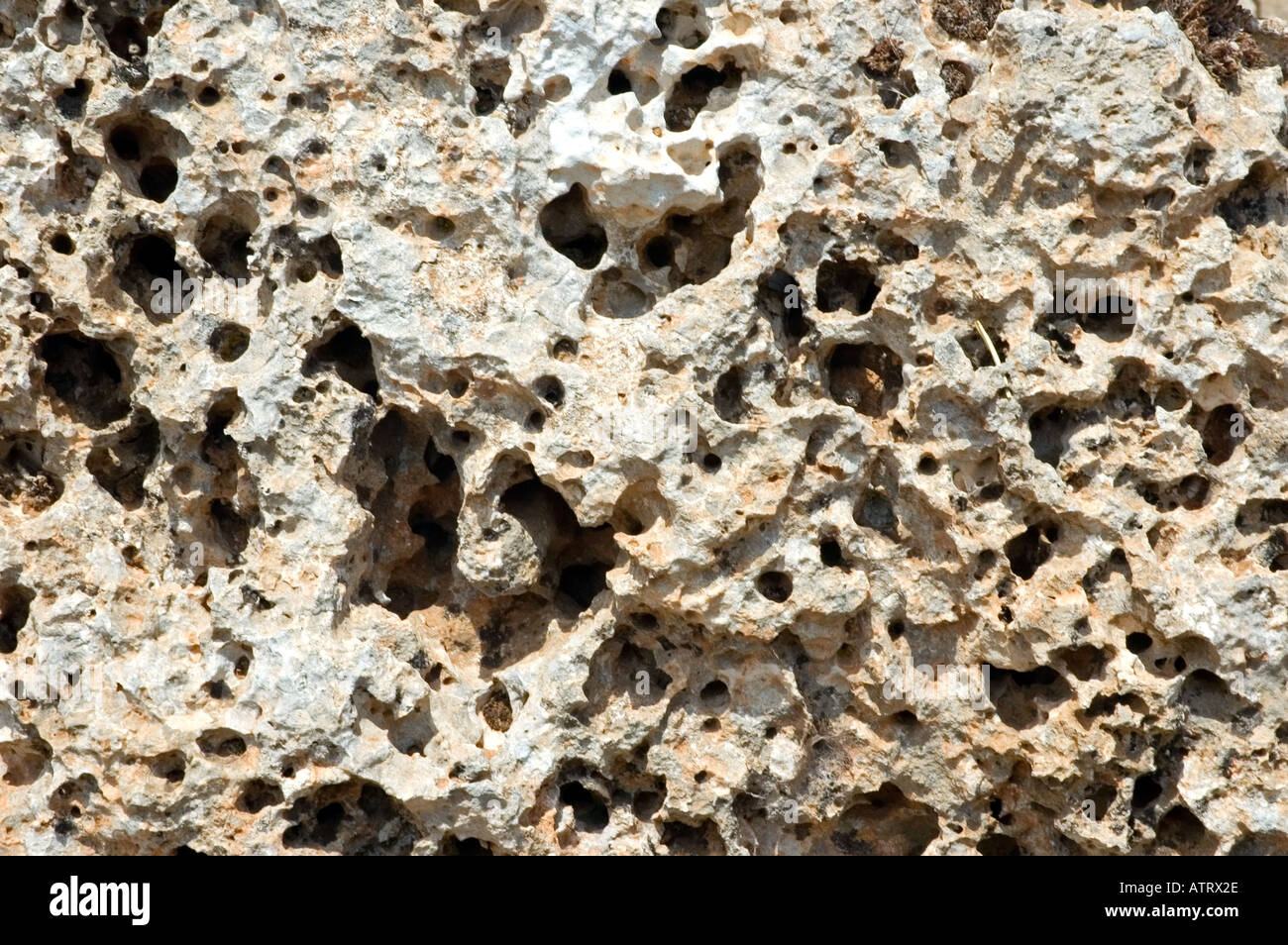 Limestone Building Material