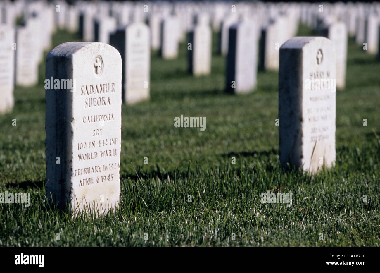 Tombstones Blue Star Memorial San Francisco California USA April 2007 ...