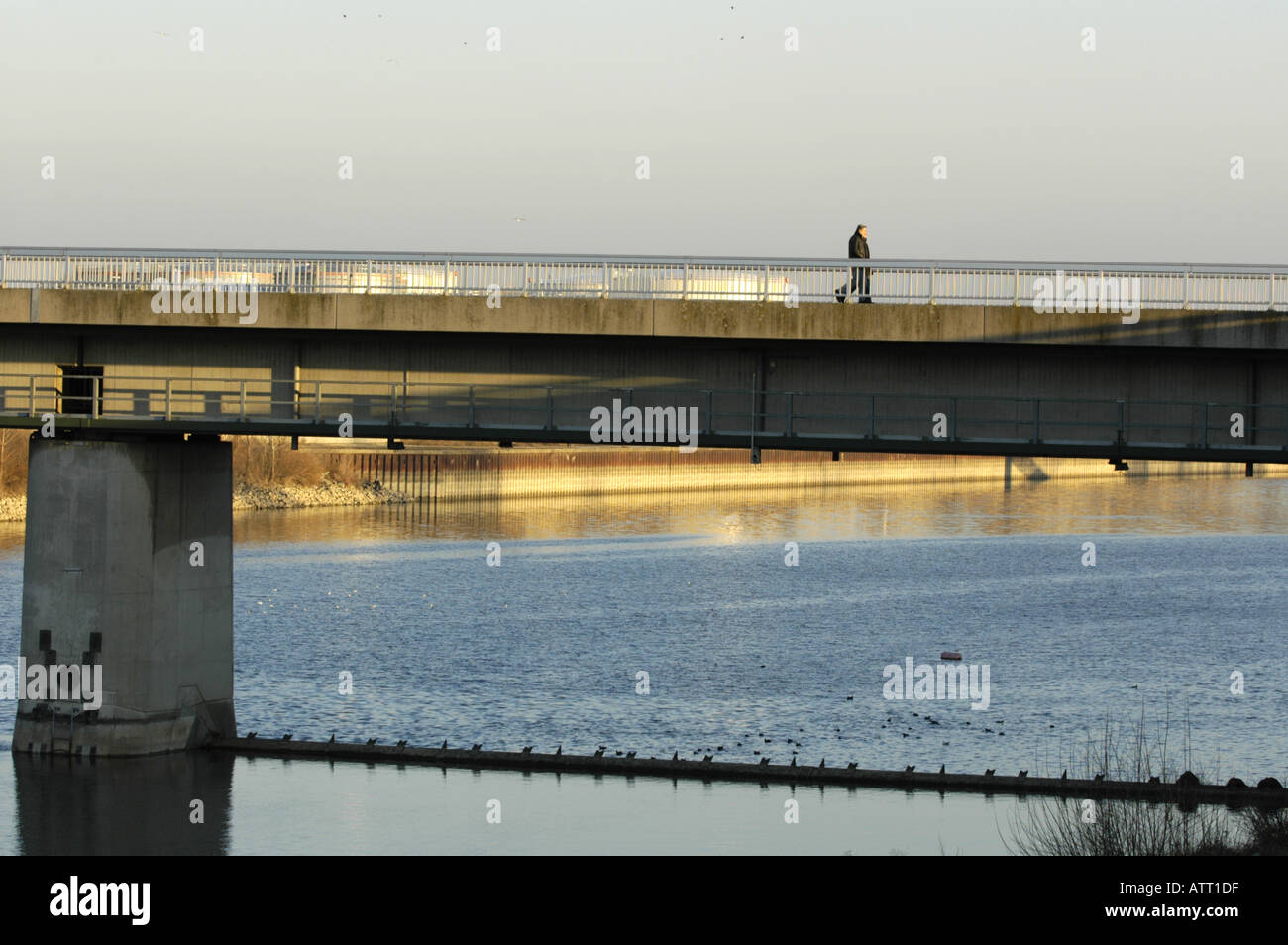 Vienna, river Danube, bridge, walker Stock Photo - Alamy