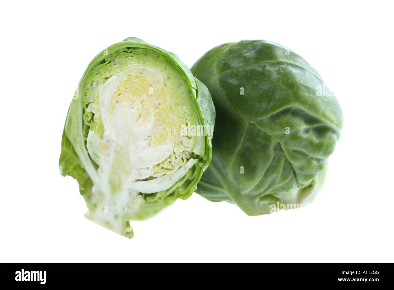 Brussels cabbage slice isolated on white background Stock Photo - Alamy