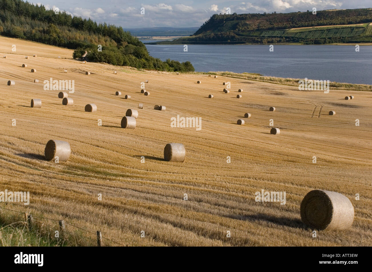 Munlochy Bay, Black Isle, Highlands, Scotland UK Stock Photo - Alamy