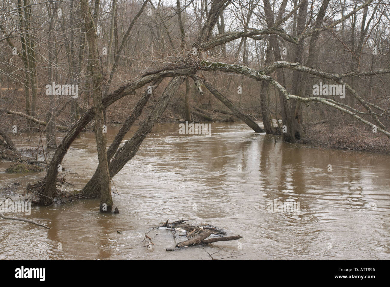 Muddy ditch hi-res stock photography and images - Alamy