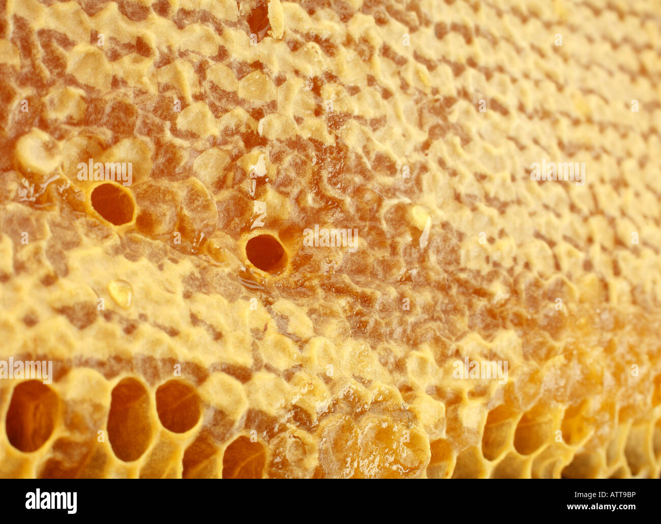 Yellow honeycomb wax cell detail texture background Stock Photo - Alamy