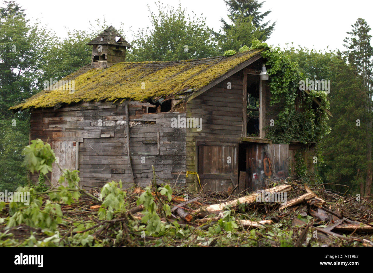 Shed with Moss roof Stock Photo - Alamy