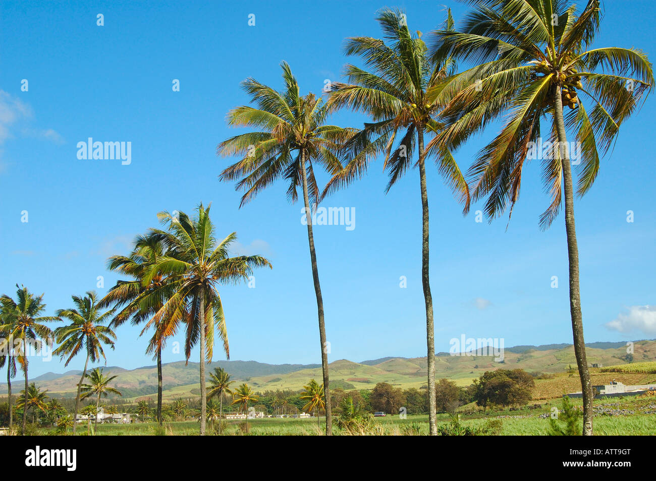 Countryside near Rivière des Galets in Southern Mauritius Mauritius ...