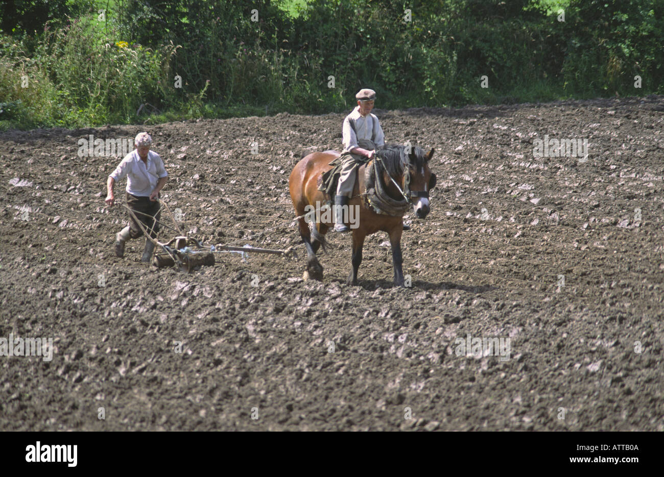 Horse ploughing field hi-res stock photography and images - Alamy