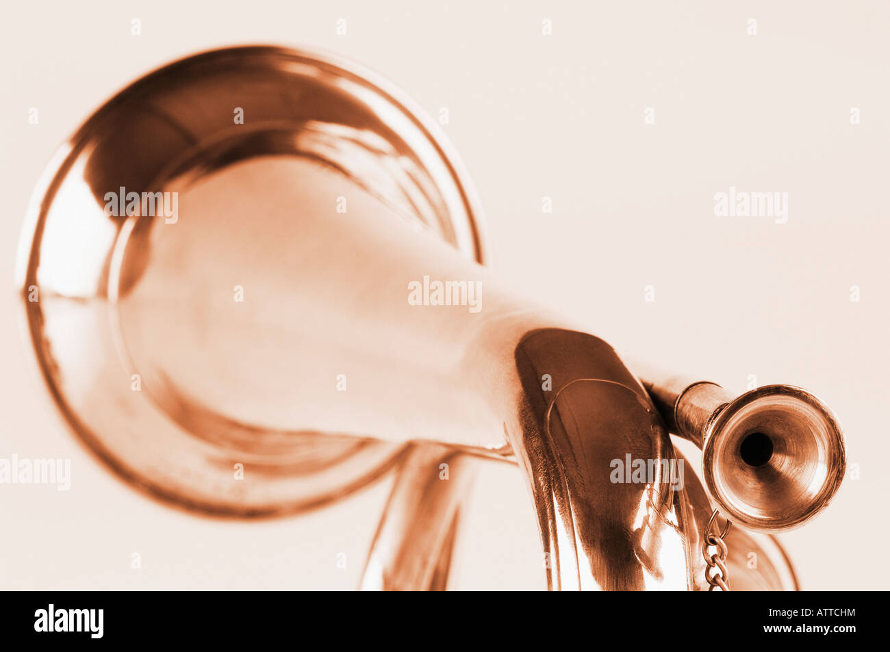 Close-up of a bugle Stock Photo - Alamy