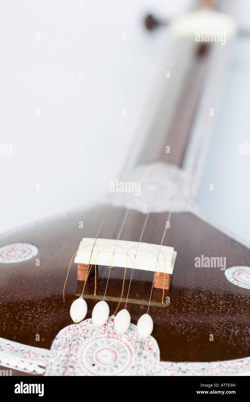 Close-up of a sitar Stock Photo - Alamy
