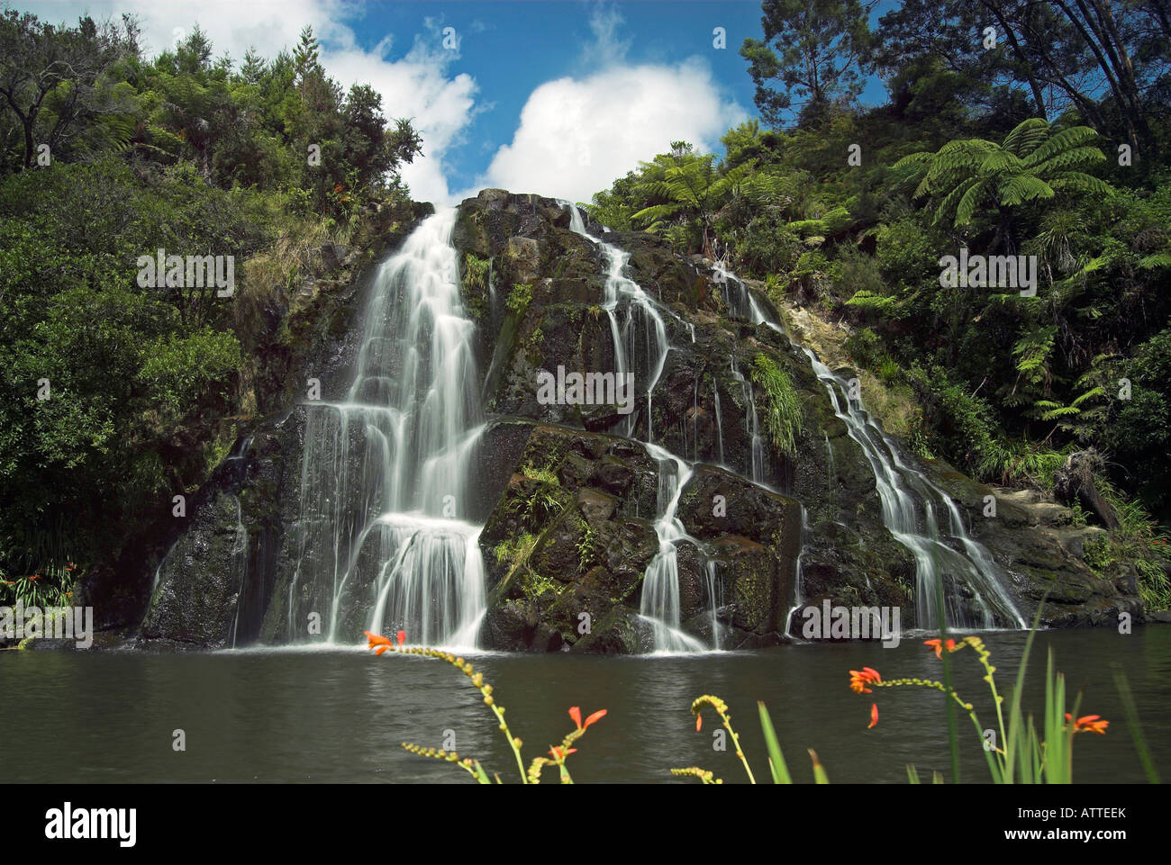 Owharoa Falls in the Karangahake Gorge, New Zealand Stock Photo - Alamy