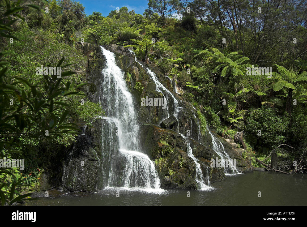 Owharoa Falls in the Karangahake Gorge, New Zealand Stock Photo - Alamy