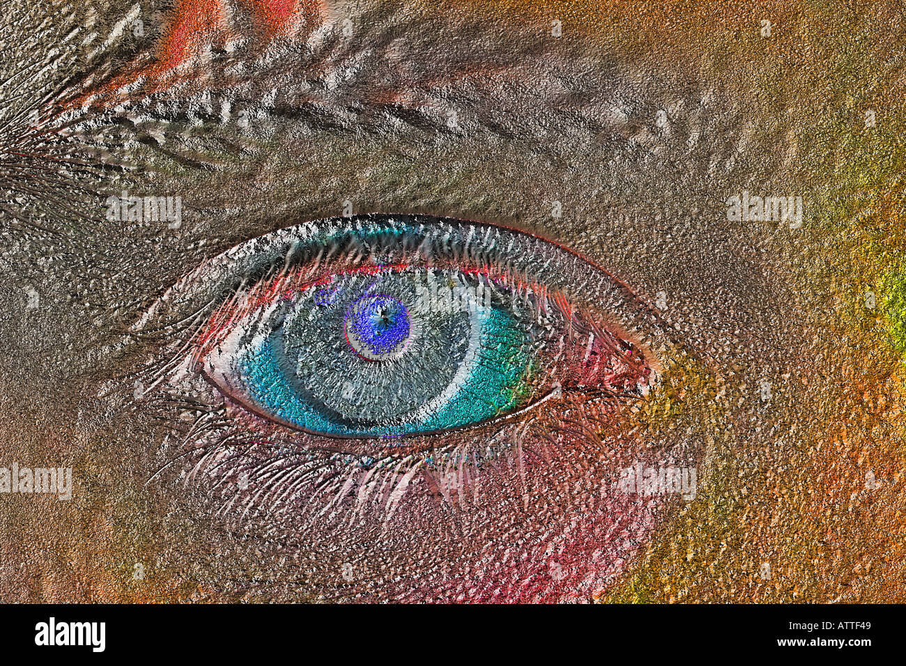 Eye looking at you Stock Photo - Alamy