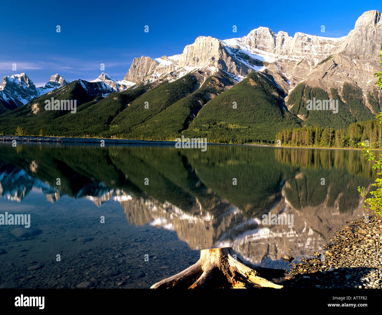 CANMORE ALBERTA CANADA June Rundle Reservoir with the reflection of Ha ...