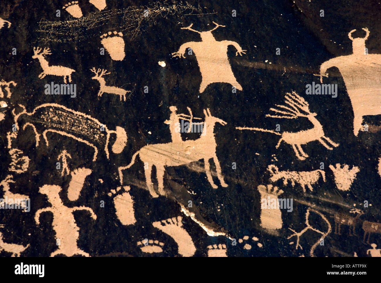 UT Utah Canyonlands National Park Petroglyphs Newspaper Rock Native ...