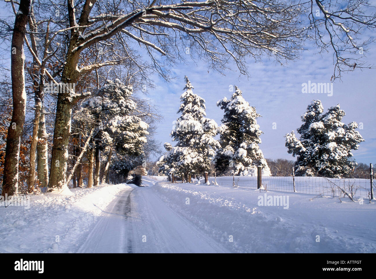 Country Road and Snow Covered Winter Landscape Harrison County Indiana ...