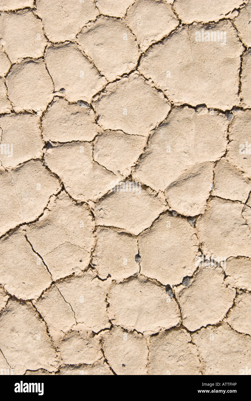 Close up of cracked ground in the desert Stock Photo - Alamy